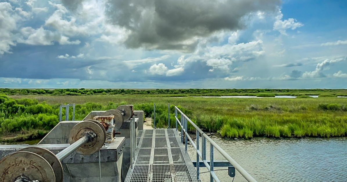 Can You Build On Wetlands Your Guide For 2023 Can You Build On Wetlands Your Guide For 2023