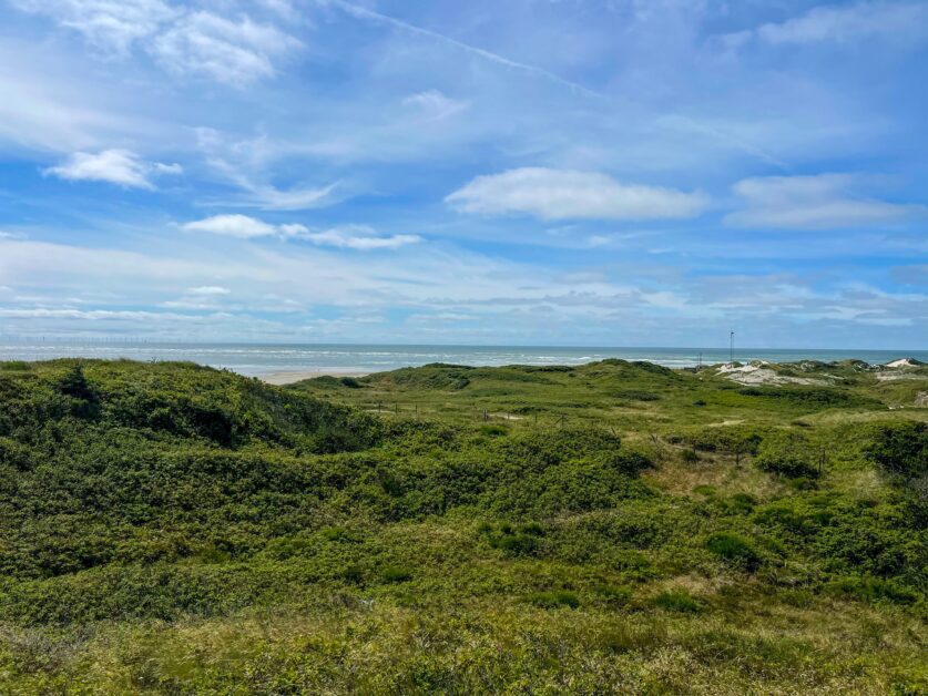 Geological and Geophysical Surveys | What's the Difference?